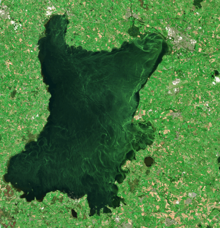 From Satellites to Solutions: Tackling Blue-Green Algae in Lough Neagh ...